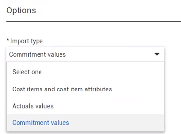 Cost Item Excel Import