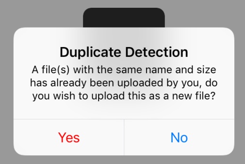 Duplicate Detection