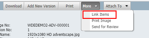 InEight Document Classic - Linking Project Gallery with Other Modules