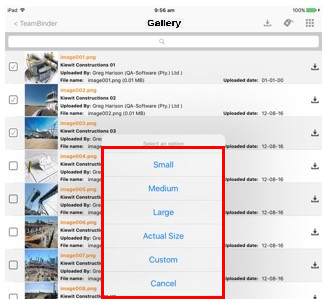 InEight Document Classic - Single and Bulk Download iOS App