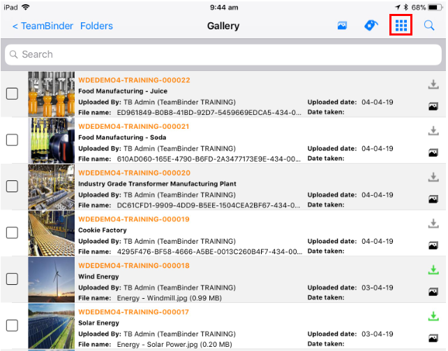 iOS App View Options