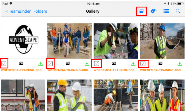 Single and Bulk Download iOS App