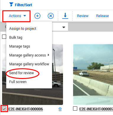Sending Project Gallery items for Review