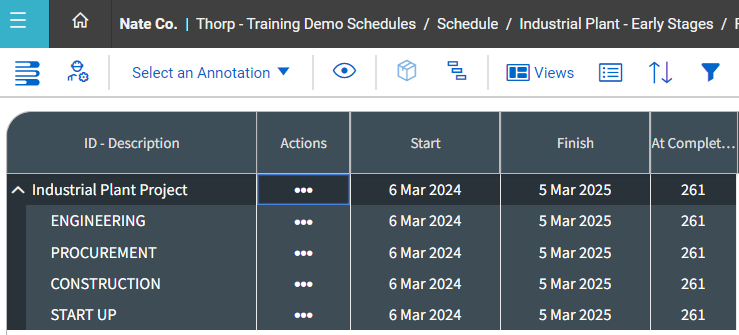 Plan High Level Schedule Structure