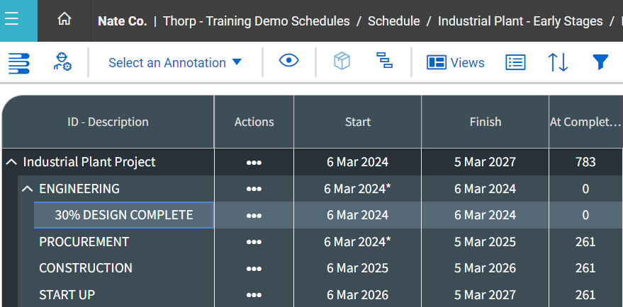 Plan High Level Schedule Structure